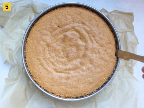 My Go-To Basic Sponge Cake Recipe - Savas Kitchen