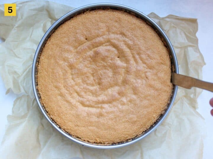 My Go-To Basic Sponge Cake Recipe - Savas Kitchen